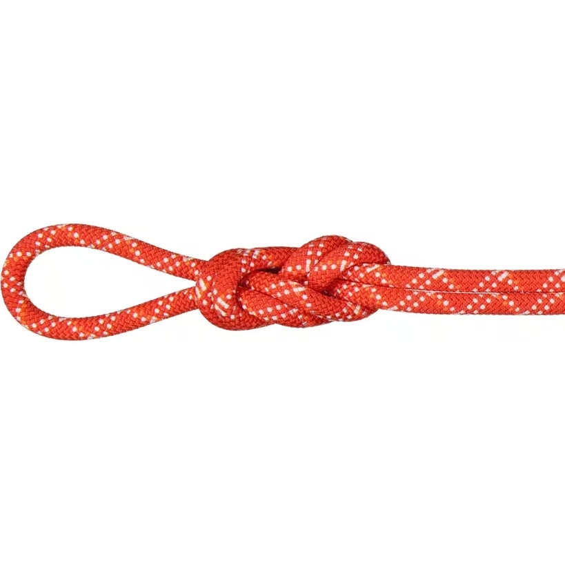 Mammut Cuerda Escalada - 9.5 Gym Classic Rope - 40 m - raspberry-white ...