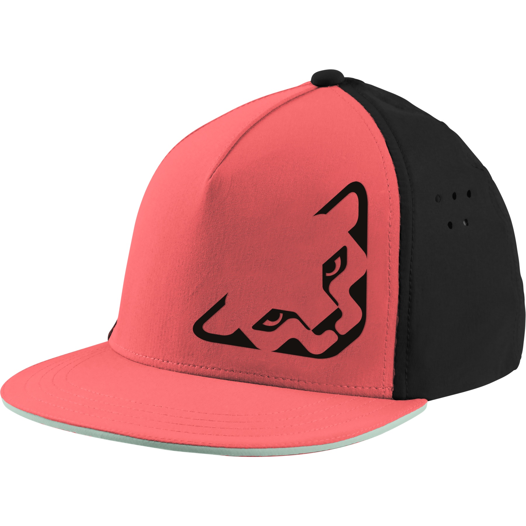 Dynafit Tech Trucker Cap - Cabana | BIKE24
