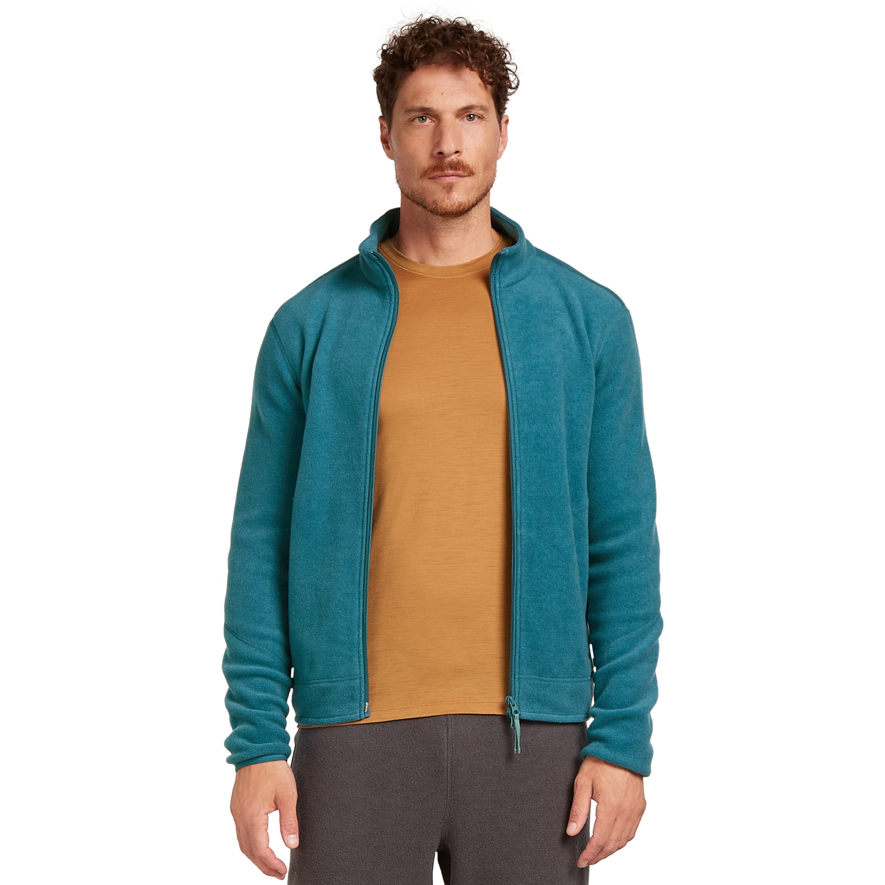 Icebreaker Merino 800 RealFleece™ Classic Pile Longsleeve Zip Shirt Men ...
