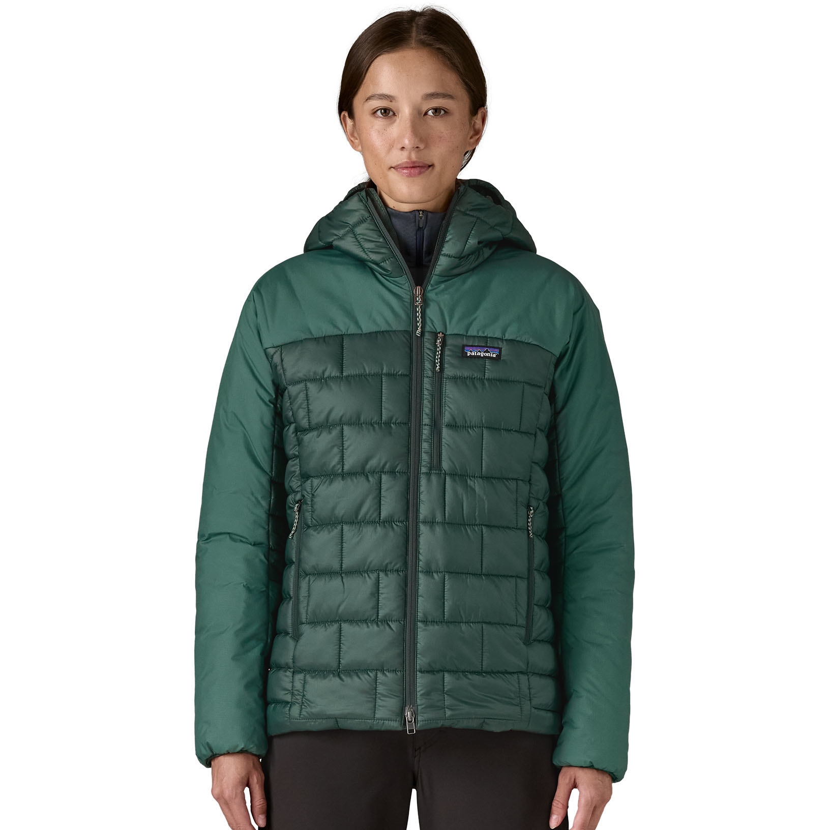 Patagonia Hi-Loft Nano Puff Hoody Jas Dames - Cascade Green | BIKE24