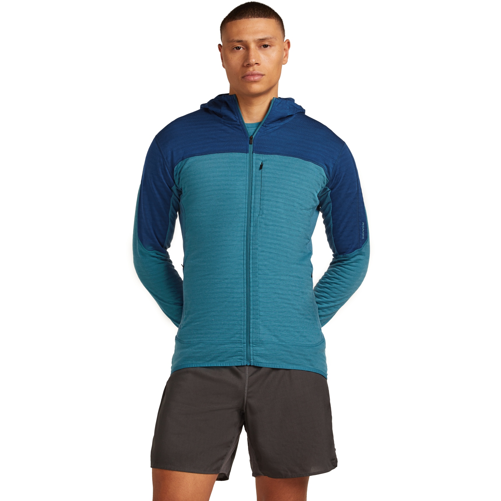 Icebreaker Veste à Capuche Homme - Merino 300 RealFleece™ Descender ...