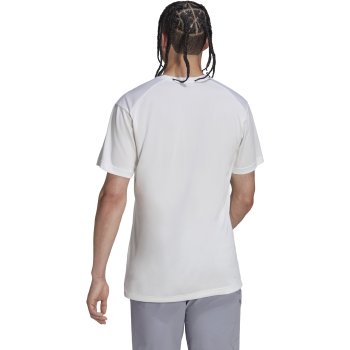 adidas TERREX Multisport Tee Men - white HM4047 | BIKE24