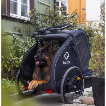 Hamax Pluto Large Bike Trailer for Dogs - Incl. Drawbar and Stroller ...
