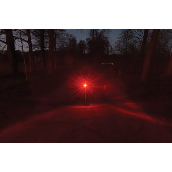 AXA Juno Dynamo Steady Bicycle Rear Light - 80 mm | BIKE24