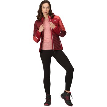 Regatta Trutton II Jacket Women - Burgundy/Rumba Red/Mineral Red XWI ...