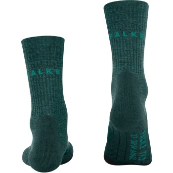 Falke TK2 Explore Wool Trekking Socks Men - holly 7385 | BIKE24