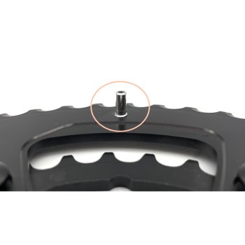 Praxis Works Chain Catch-Pins for Buzz/TT Chainring | BIKE24