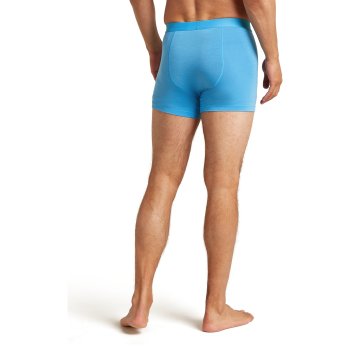 Icebreaker Merino 125 Cool-Lite™ Anatomica Boxershort Heren - Arctic ...