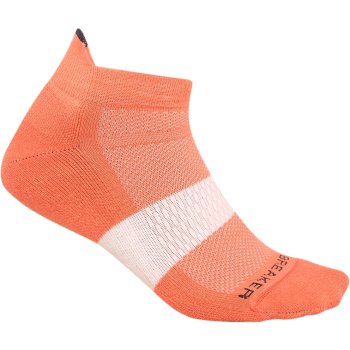 Icebreaker Chaussettes Femme - Merino Multisport Light Micro - Tang ...