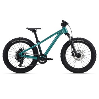 Giant STP 20 FS - 20" Kinder Mountainbike - 2026 - blauwgroen | BIKE24