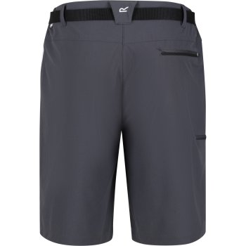 Regatta Xert Stretch Shorts III - Seal Grey 038 | BIKE24