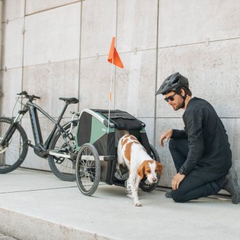 Thule Safety Flag | BIKE24