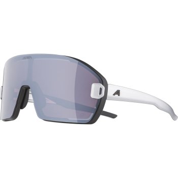 Alpina Bonfire Mag Q Glasses - black-alu matt/Quattroflex pink + black ...