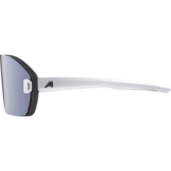 Alpina Bonfire Mag Q Glasses - black-alu matt/Quattroflex pink + black ...