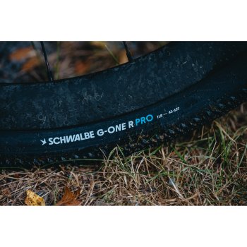 Schwalbe G-One R Pro Folding Tire - Addix Race | Super Race | V-Guard ...