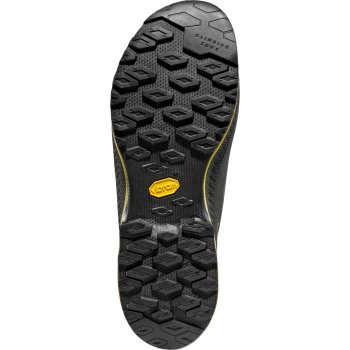 La Sportiva TX4 Evo GTX Approach Shoes Men - Carbon/Bamboo | BIKE24