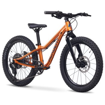 Academy Trail 4 R - 20" Kid´s Mountain Bike - 2026 - amber | BIKE24